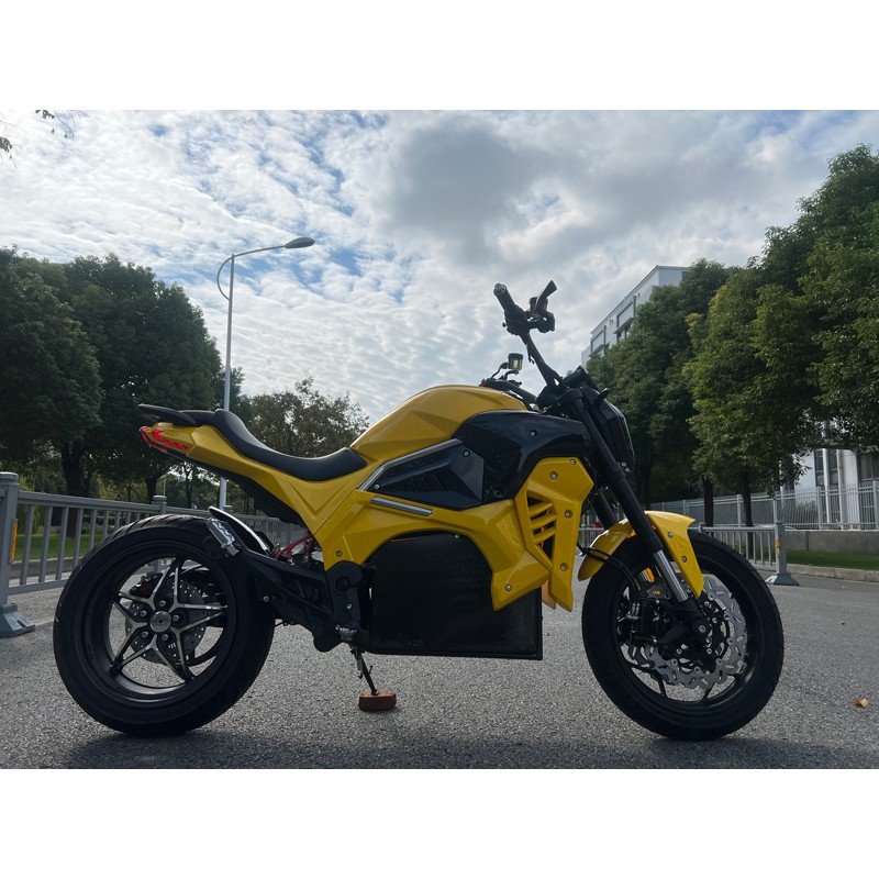 Electric MotorBike DMG