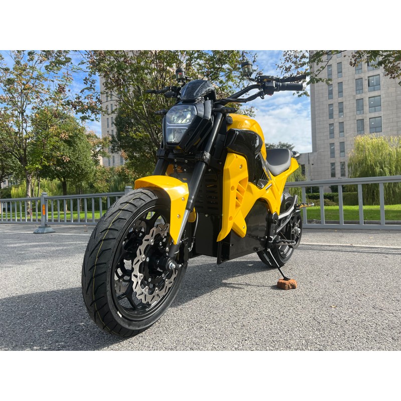 Electric MotorBike DMG