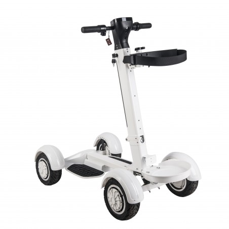 4 Wheel drive electric golf cart M12-1 swing steering