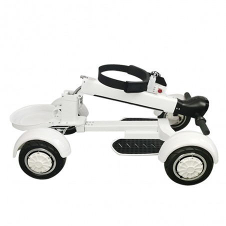 4 Wheel drive electric golf cart M12-1 swing steering