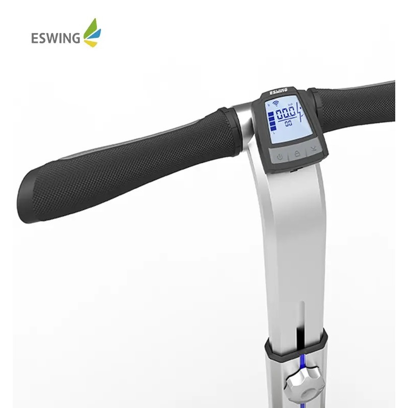ESWING two wheels self balancing electric scooter ES6C