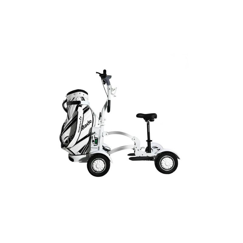 folding electric golf cart