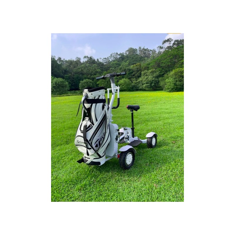 folding electric golf cart