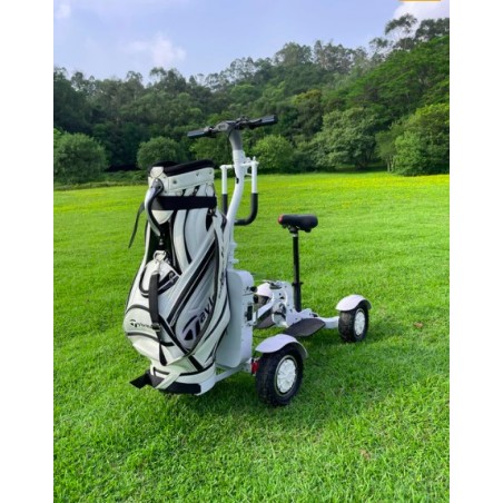 folding electric golf cart